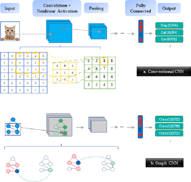 Spatial Graph Convolutional Neural Network Via Structured Subdomain