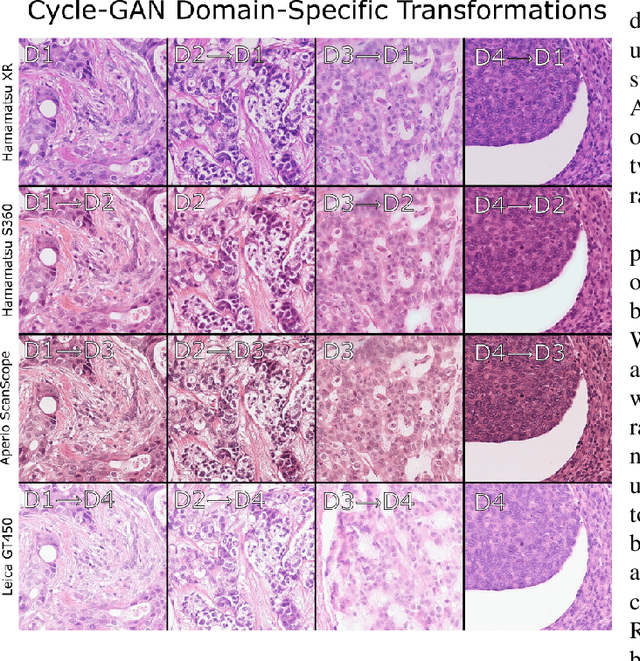 Robust Mitosis Detection Using A Cascade Mask Rcnn Approach With Domain