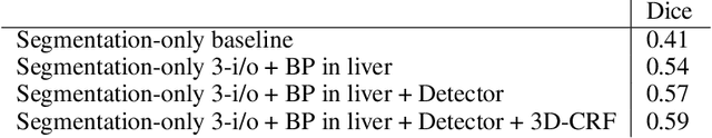 Detection Aided Liver Lesion Segmentation Using Deep Learning Paper
