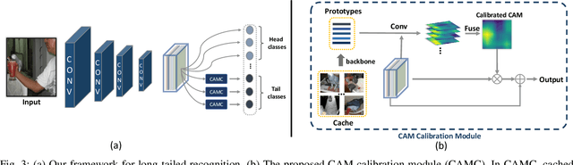 Calibrating Class Activation Maps For Long Tailed Visual Recognition