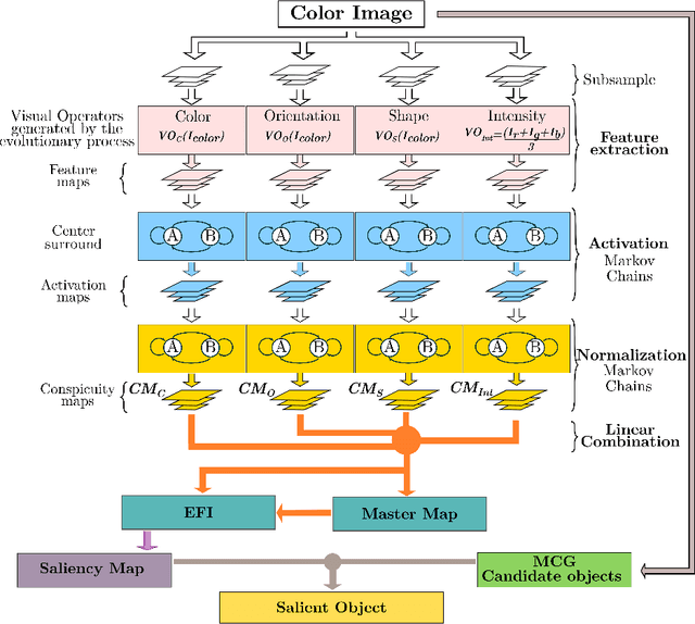 Automated Design Of Salient Object Detection Algorithms With Brain